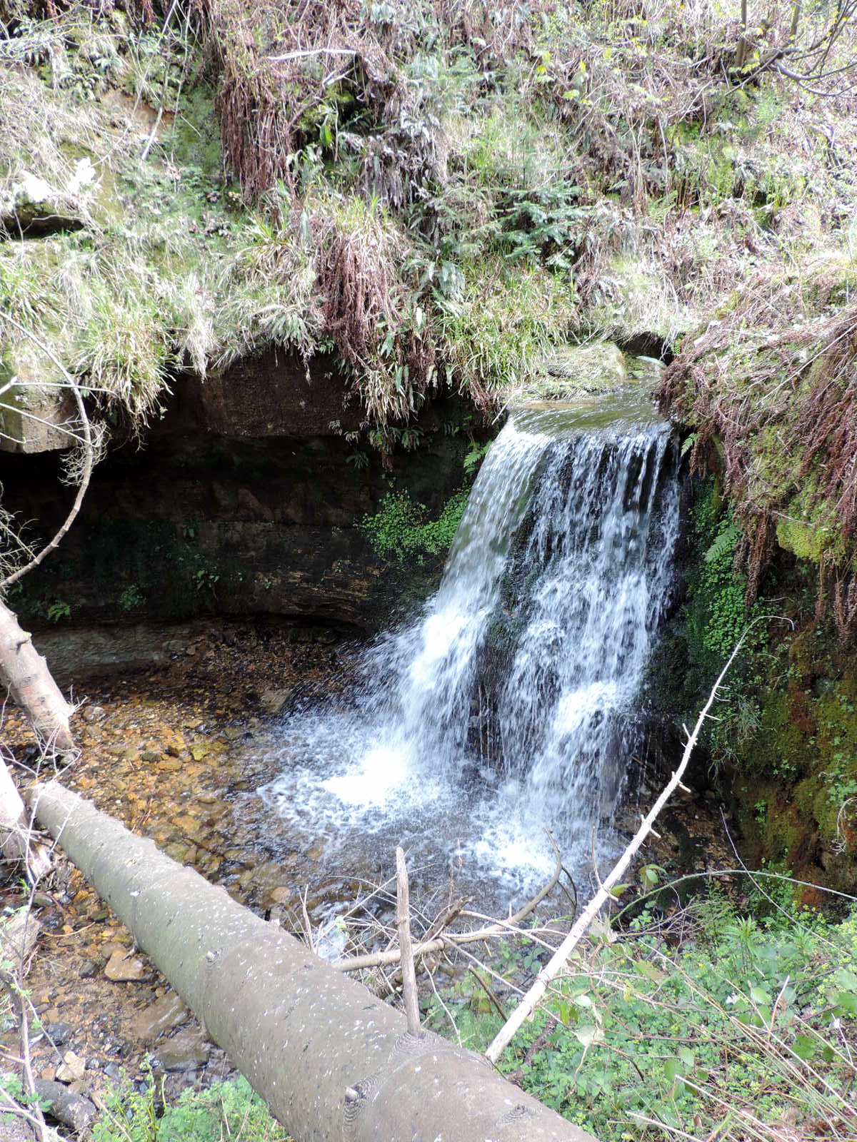 Monday | World of Blyton