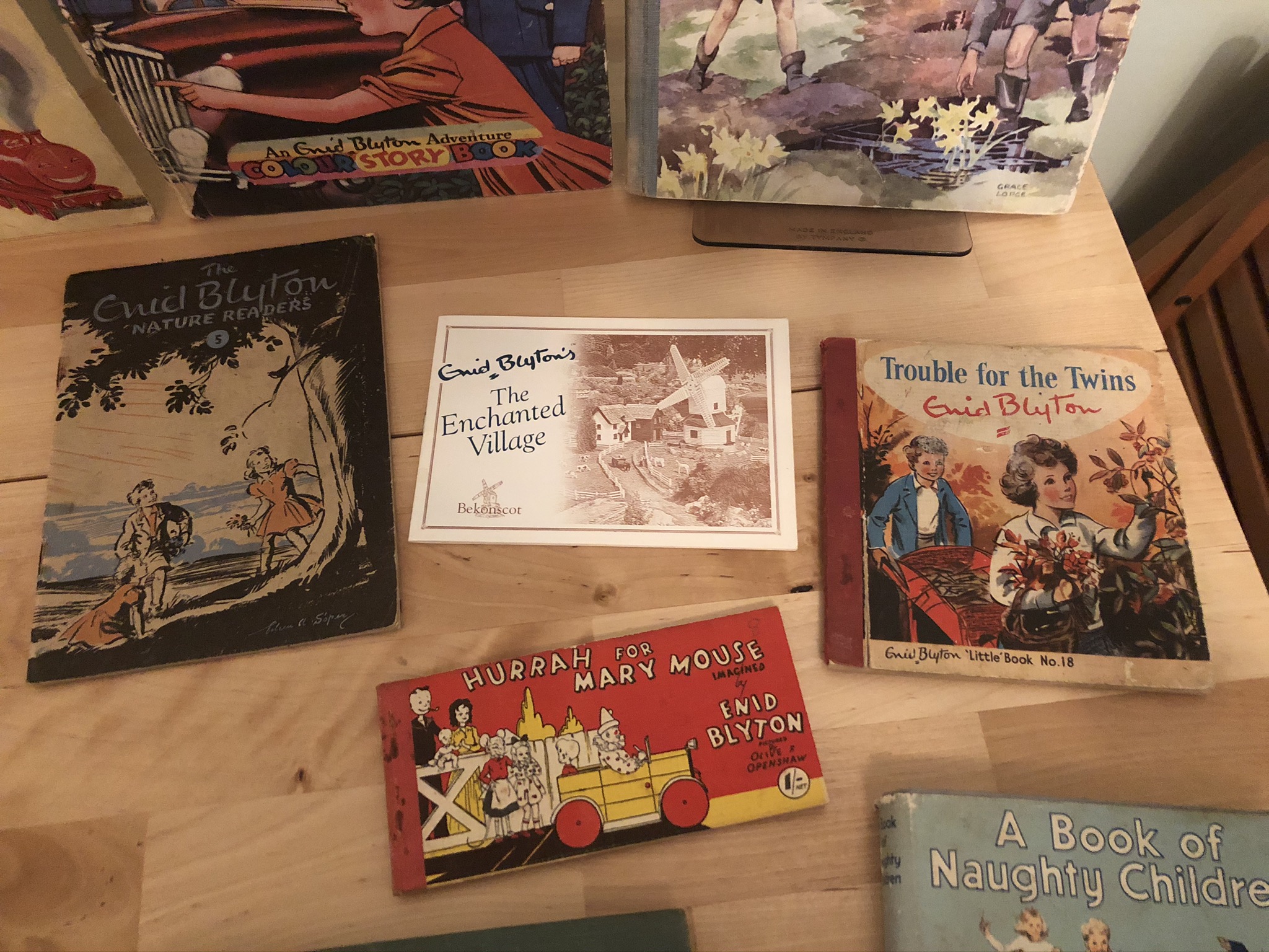 locked down library display | World of Blyton